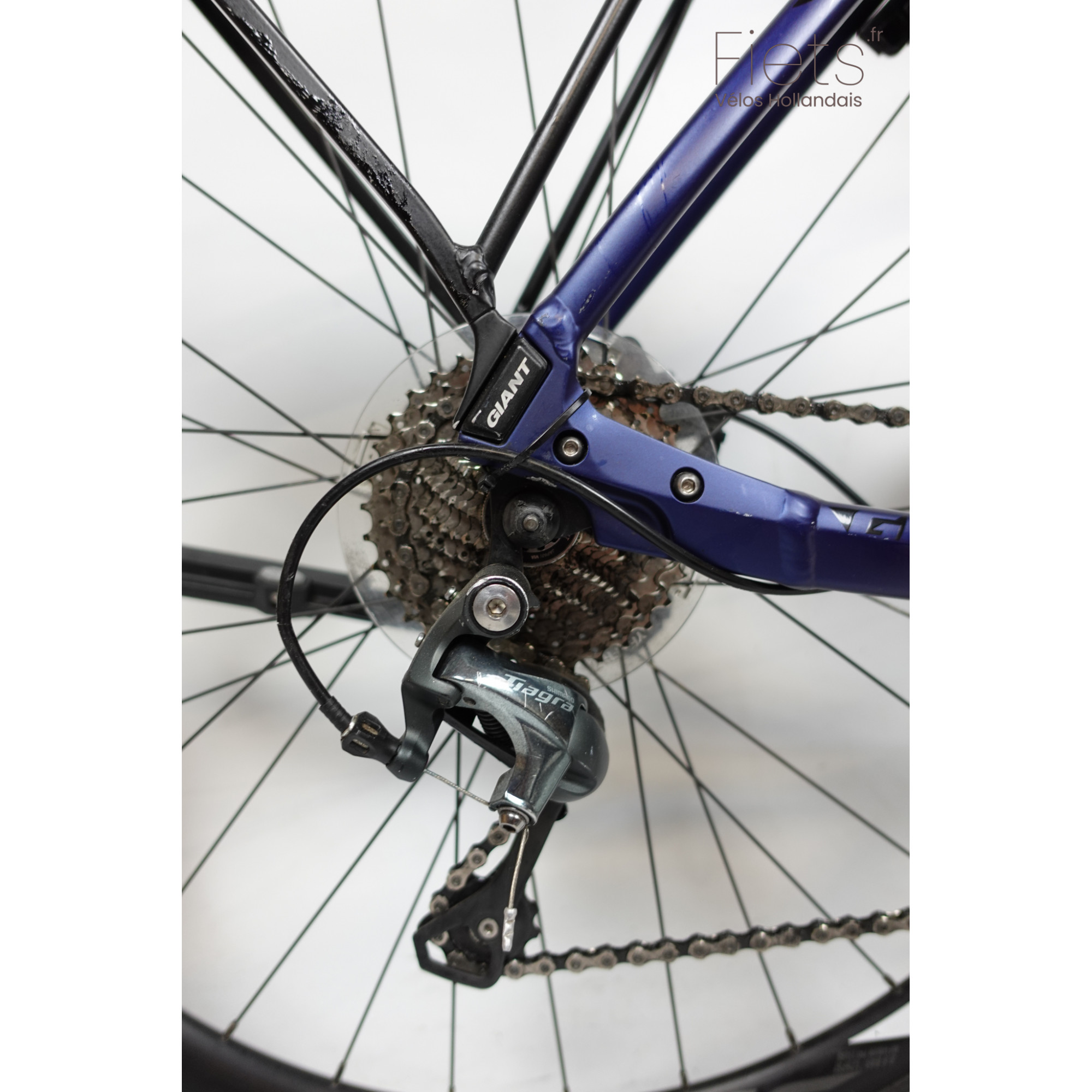 Giant Fast Tour 2x10 vitesses Vélo de Randonnée Homme
