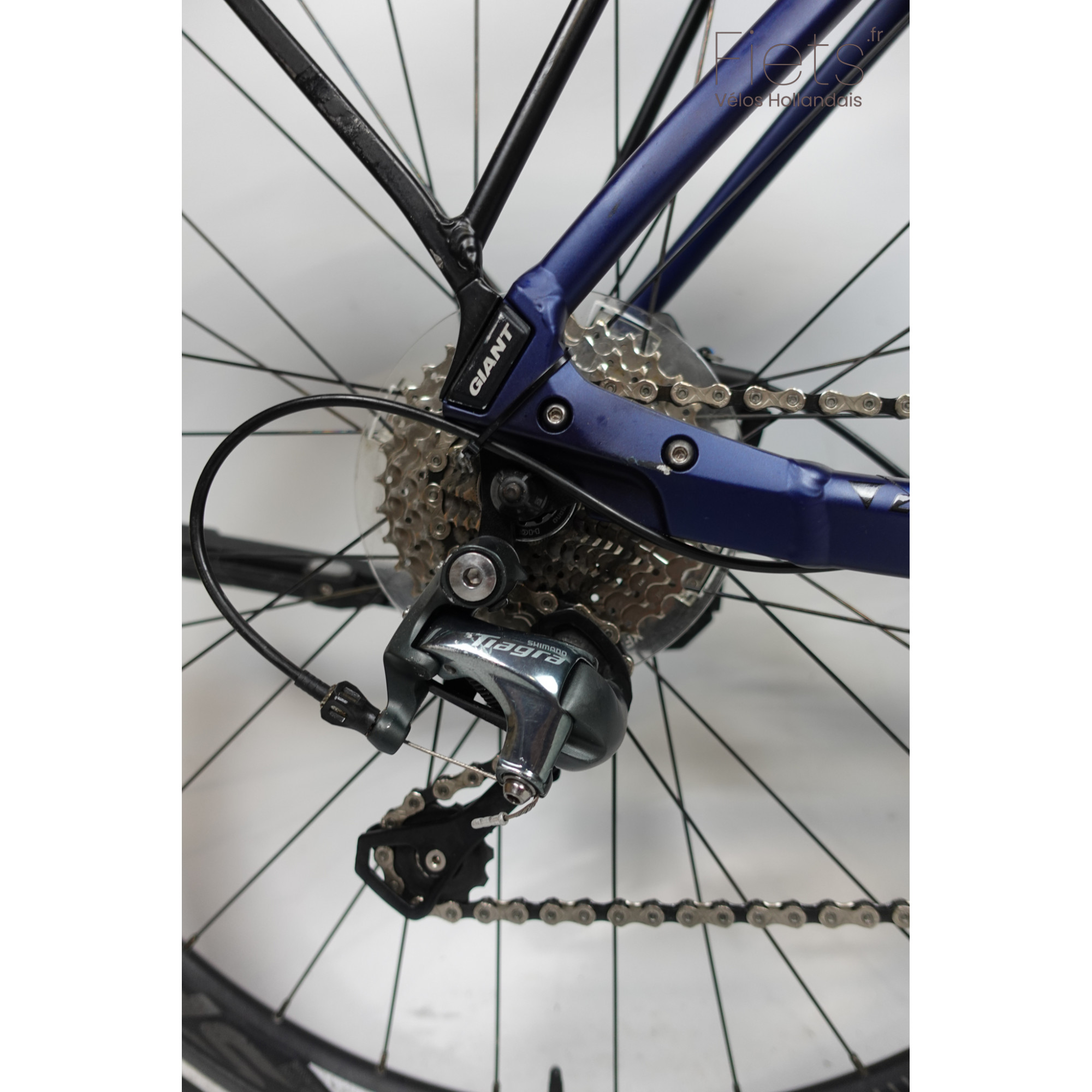 Giant Fast Tour 2x10 vitesses Vélo de Randonnée Homme