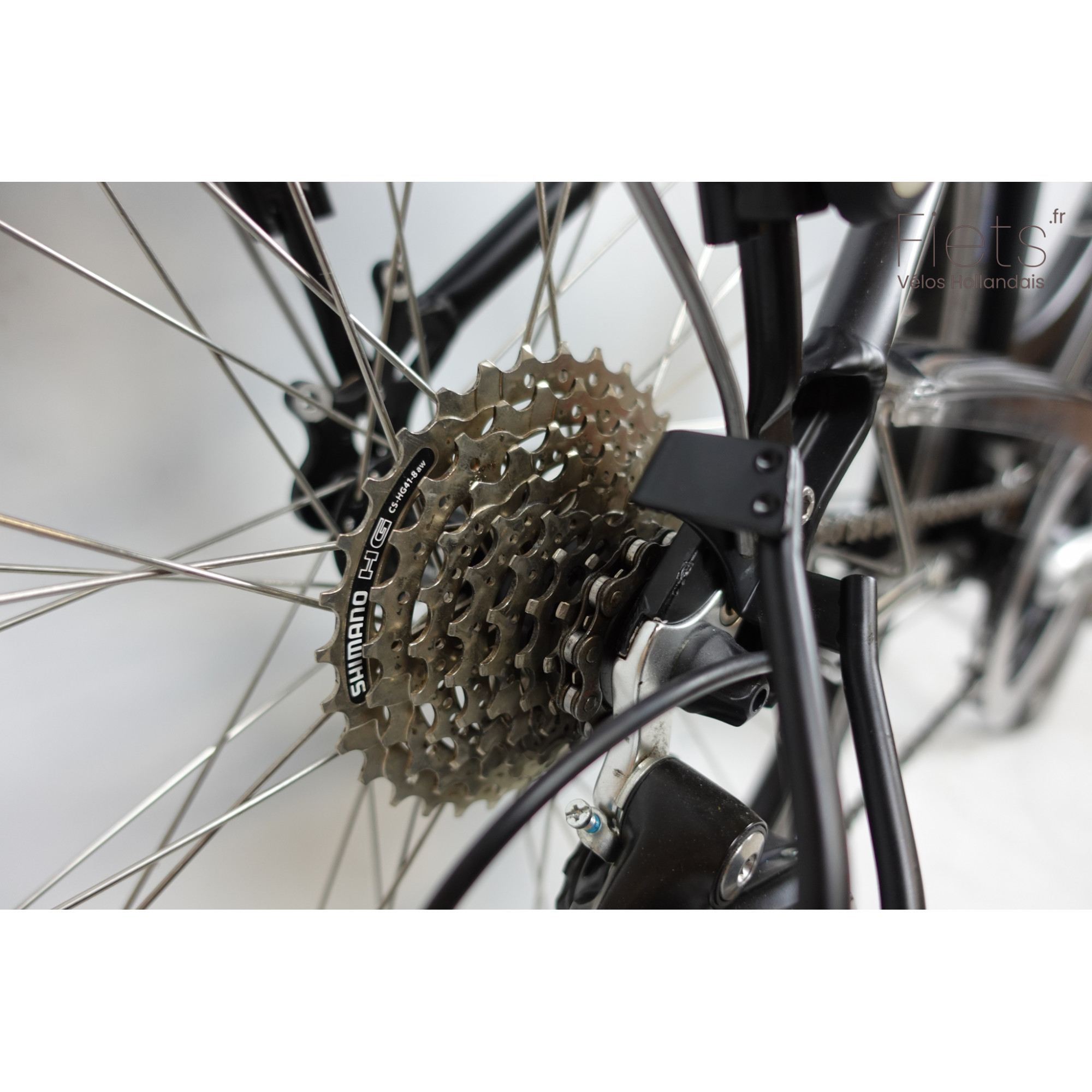 Sensa Cross 3x8 vitesses Vélo de Randonnée